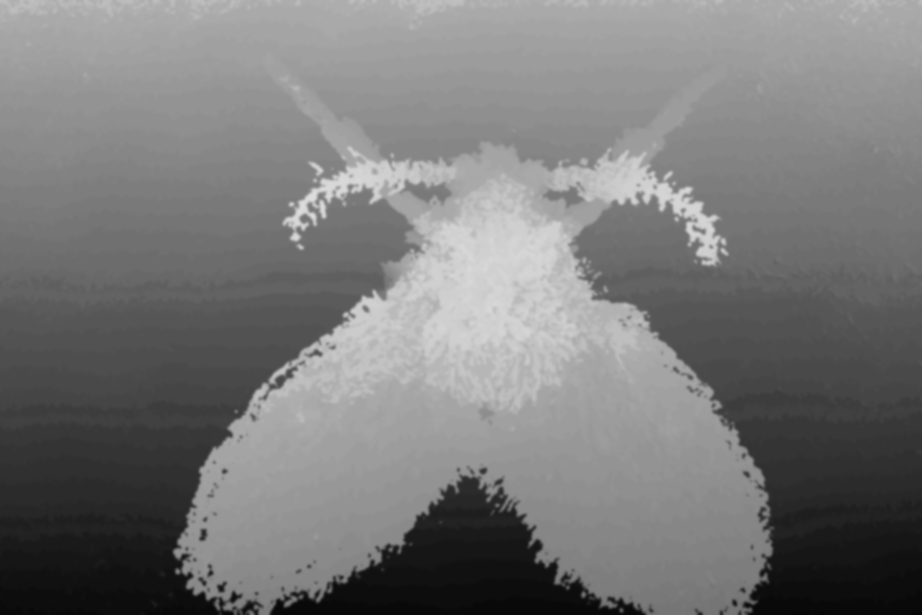 Creating Depth Maps From Focus Stacking