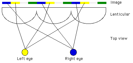Autostereoscopic lenticular images