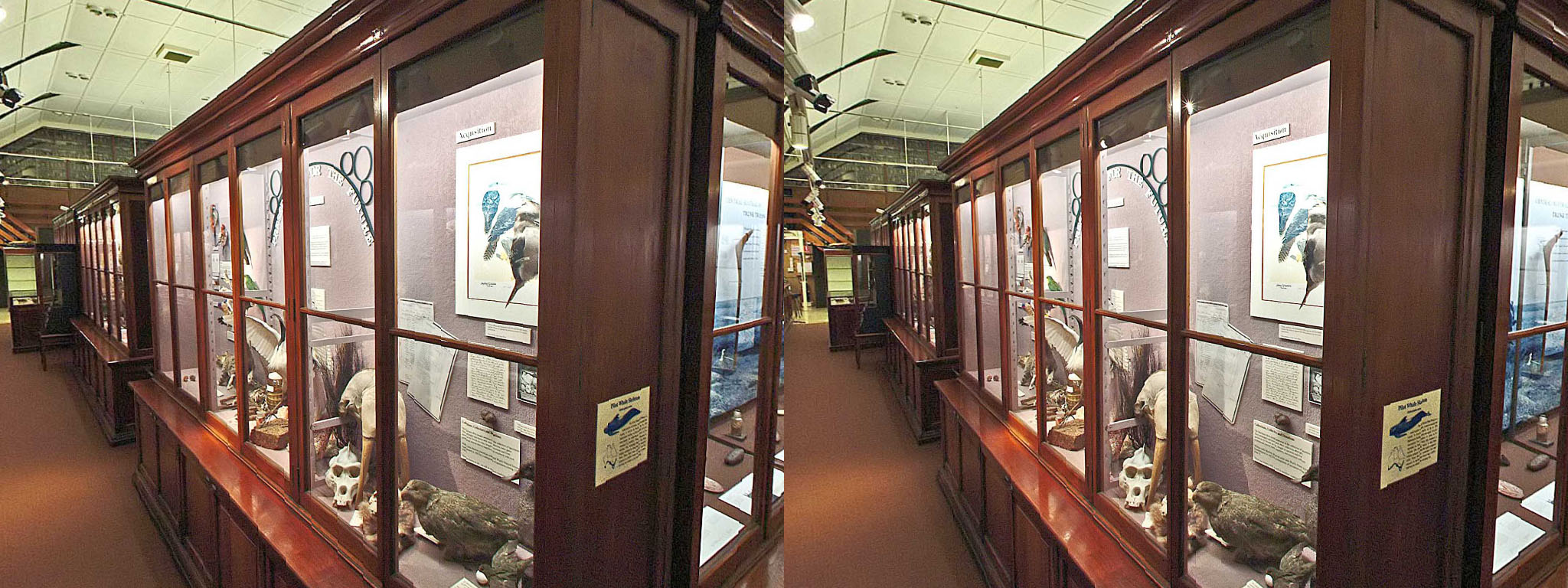 Stereoscopic Panoramics